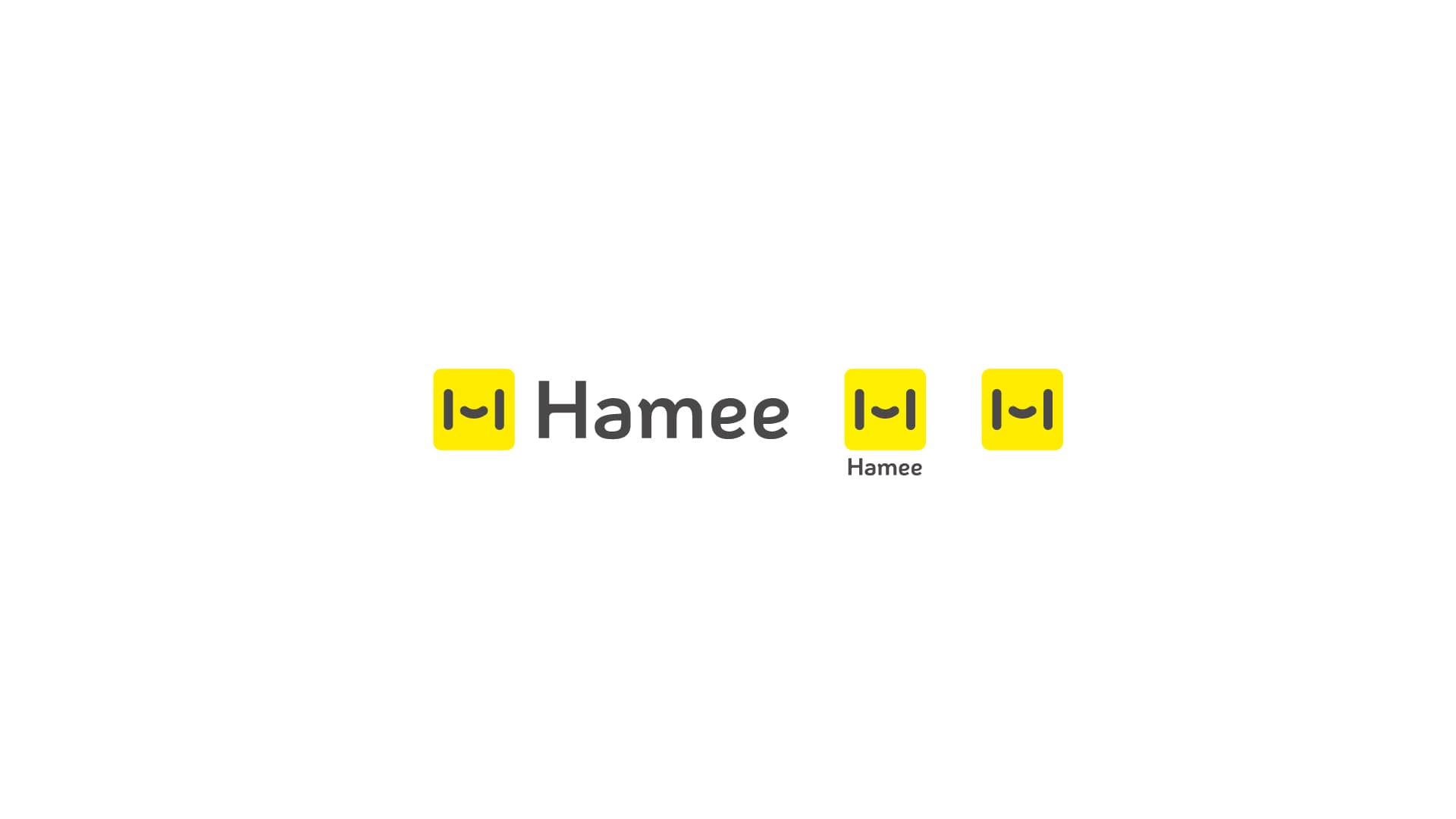 Visual identity - HameeGlobal